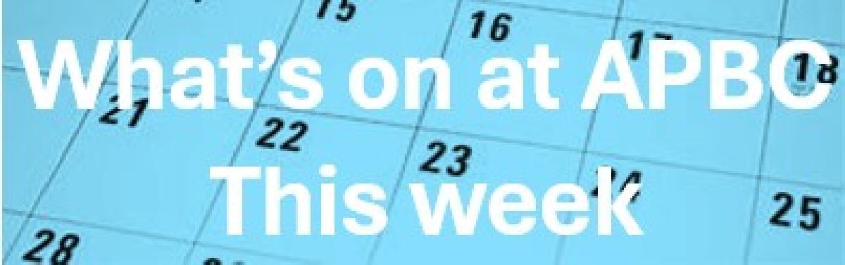 Albany Park Baptist Church